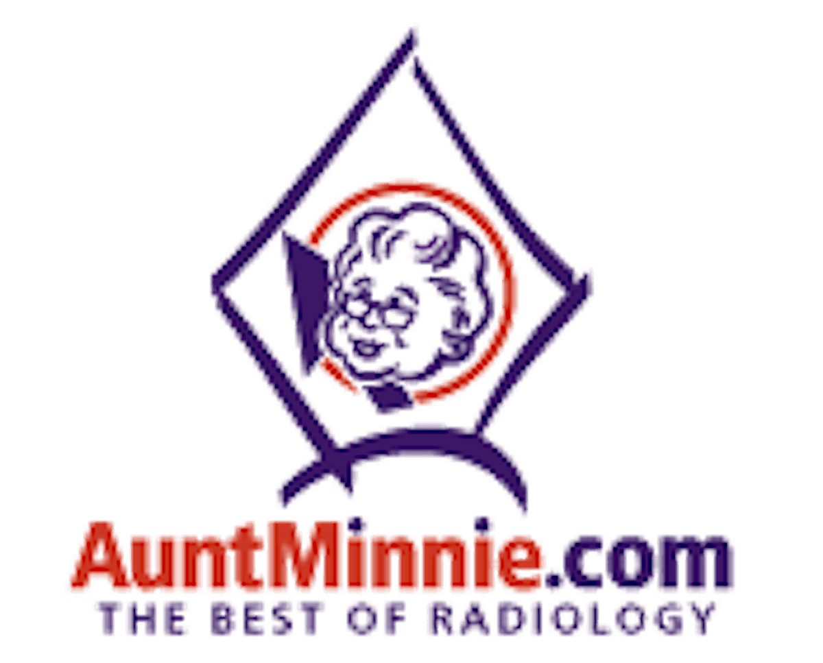 The Minnies 2002 candidates | AuntMinnie