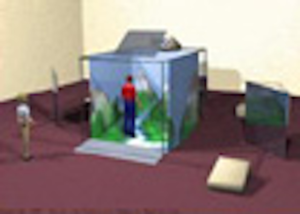 Giant virtual reality chamber boosts 3D echo accuracy | AuntMinnie