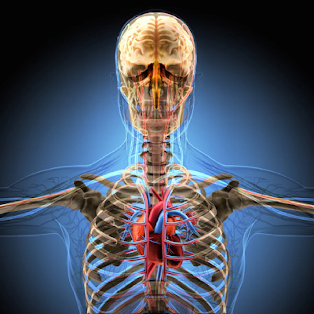 Swissray releases new x-ray system | AuntMinnie