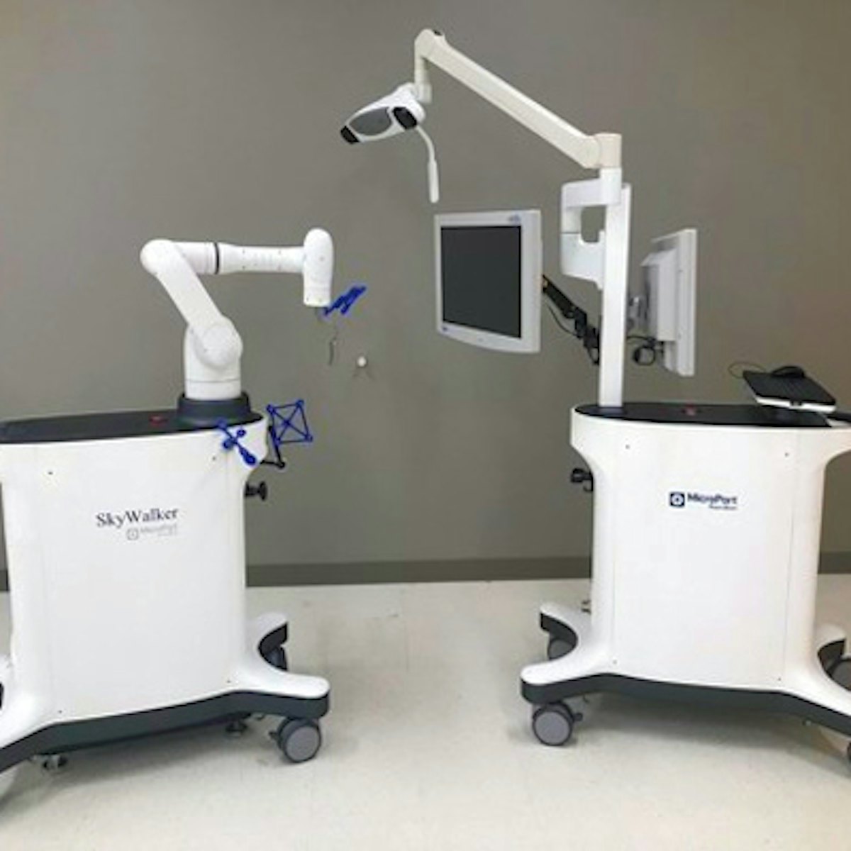 MicroPort Navibot secures FDA clearance for SkyWalker | AuntMinnie
