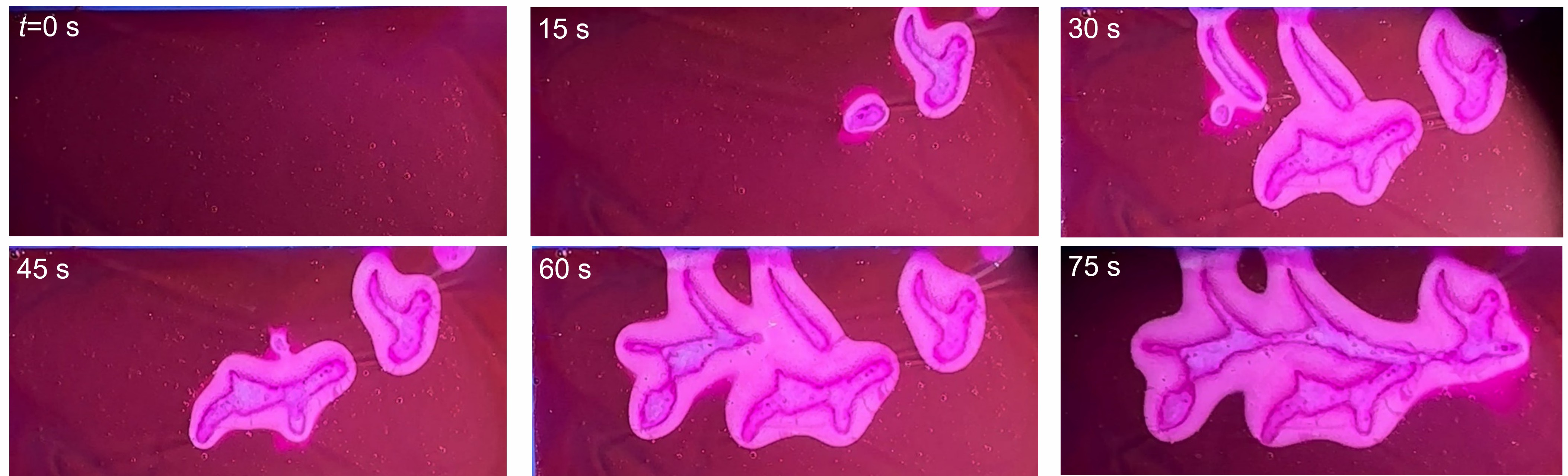 3D printing method using ultrasound shows success | AuntMinnie