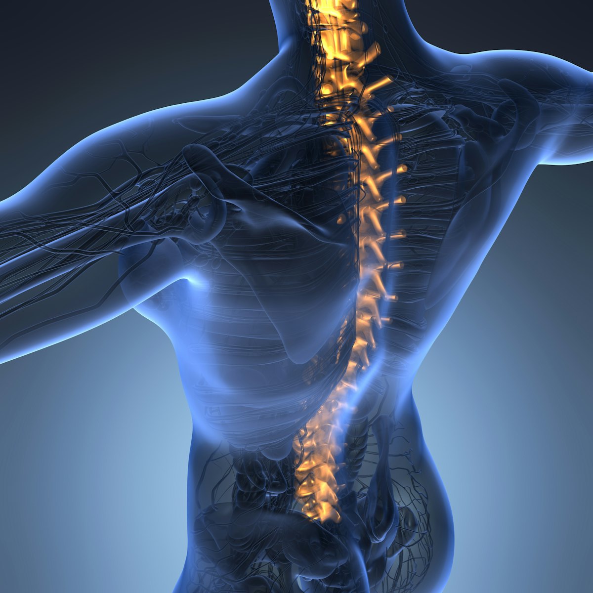 Considering patient symptoms improves spine MRI diagnosis | AuntMinnie