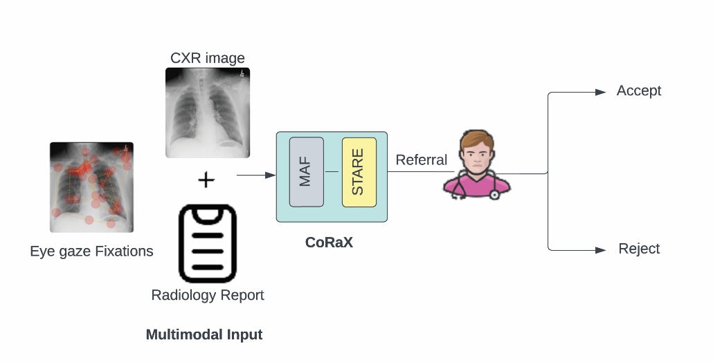 AI system integrates eye gaze data and radiology reports | AuntMinnie