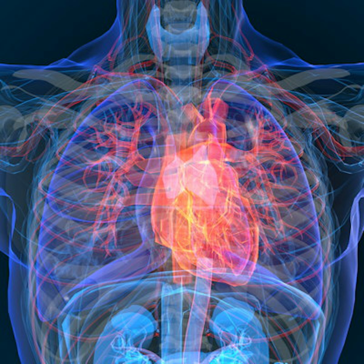 Coreline Soft to unveil diagnostic system for thoracic imaging | AuntMinnie