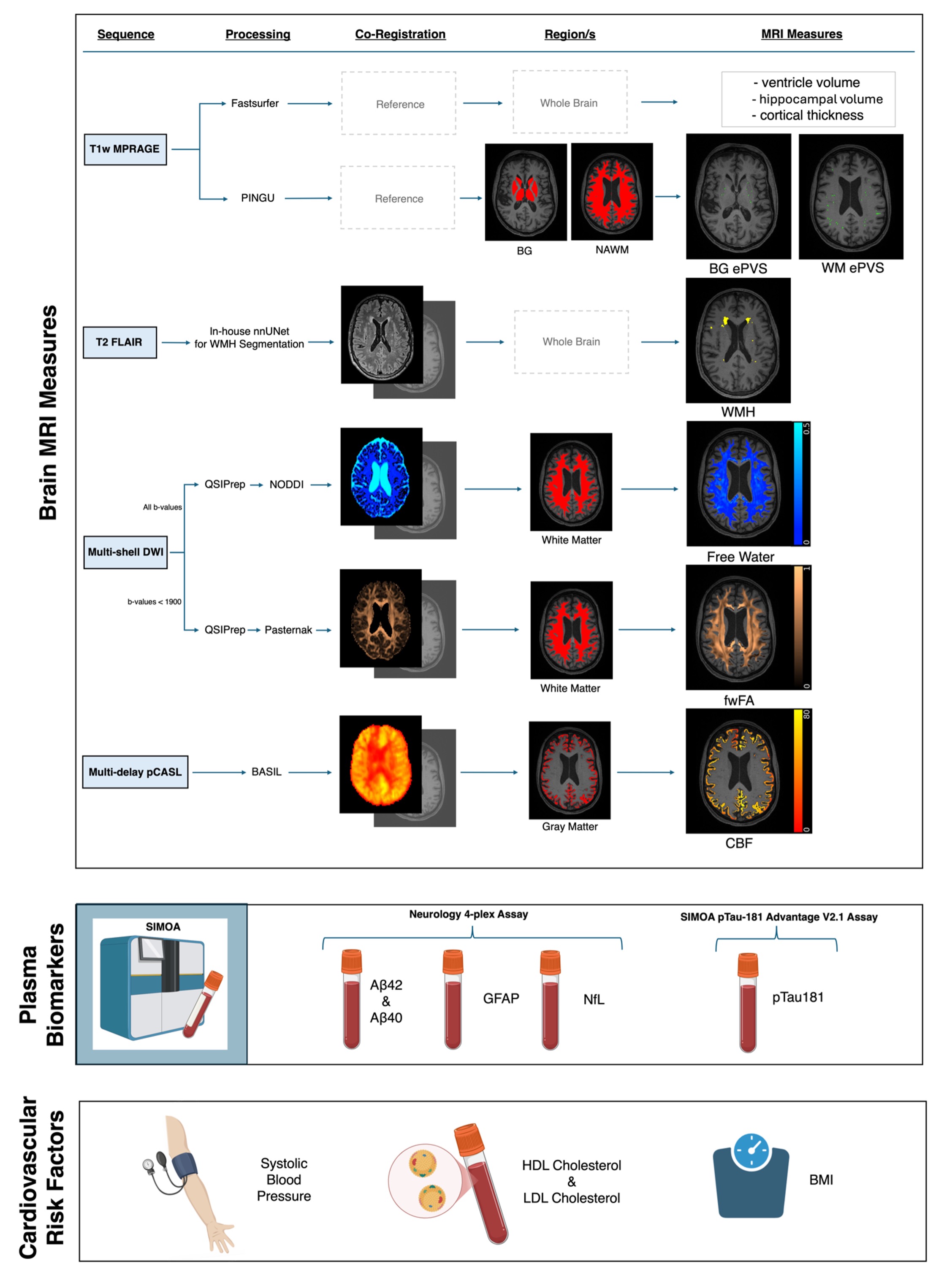 Multimodal brain health composites outperform standard AD biomarkers ...